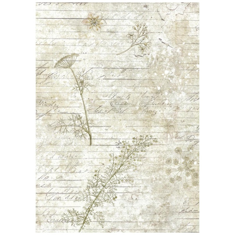 Stamperia - Assorted Rice Paper Backgrounds A6 - Herbarium Silvae - TE ...