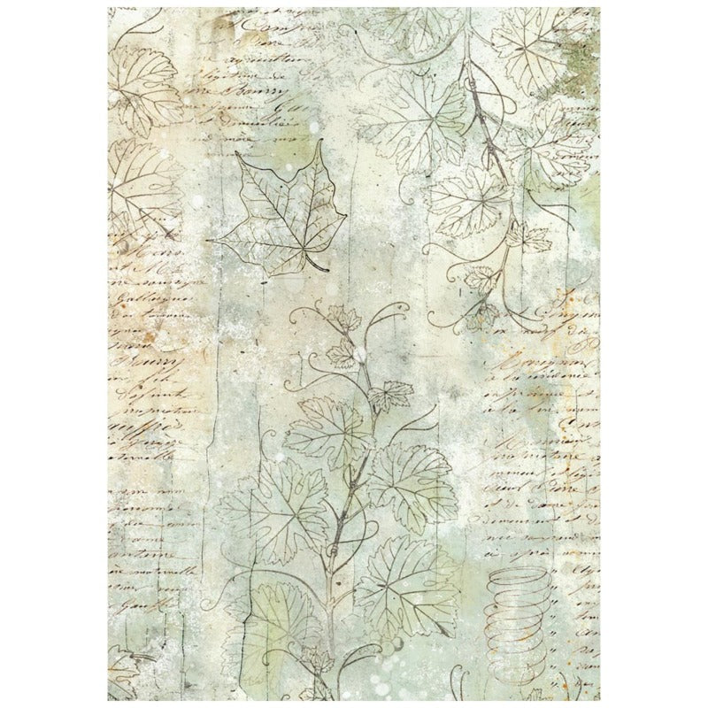 Stamperia - Assorted Rice Paper Backgrounds A6 - Herbarium Silvae - TE ...